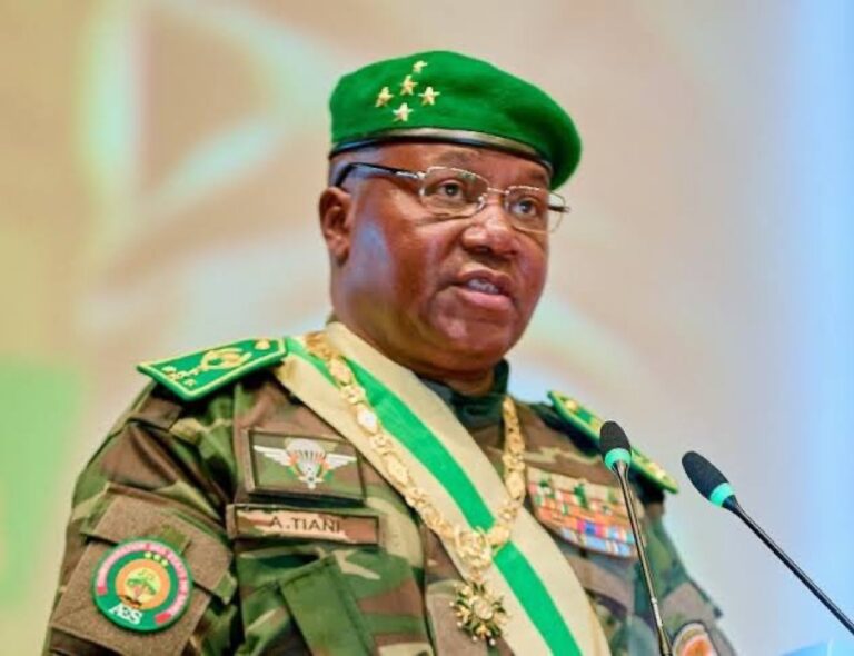 Niger Republic drops French, adopts Hausa as national language ...